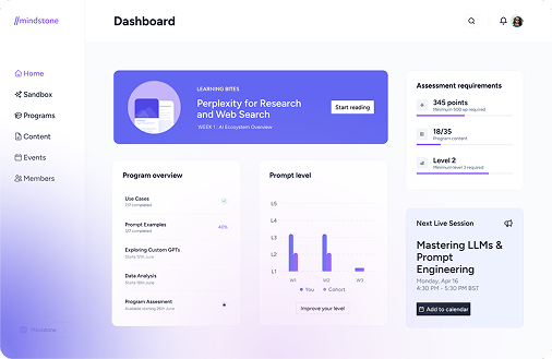AI Competency Program